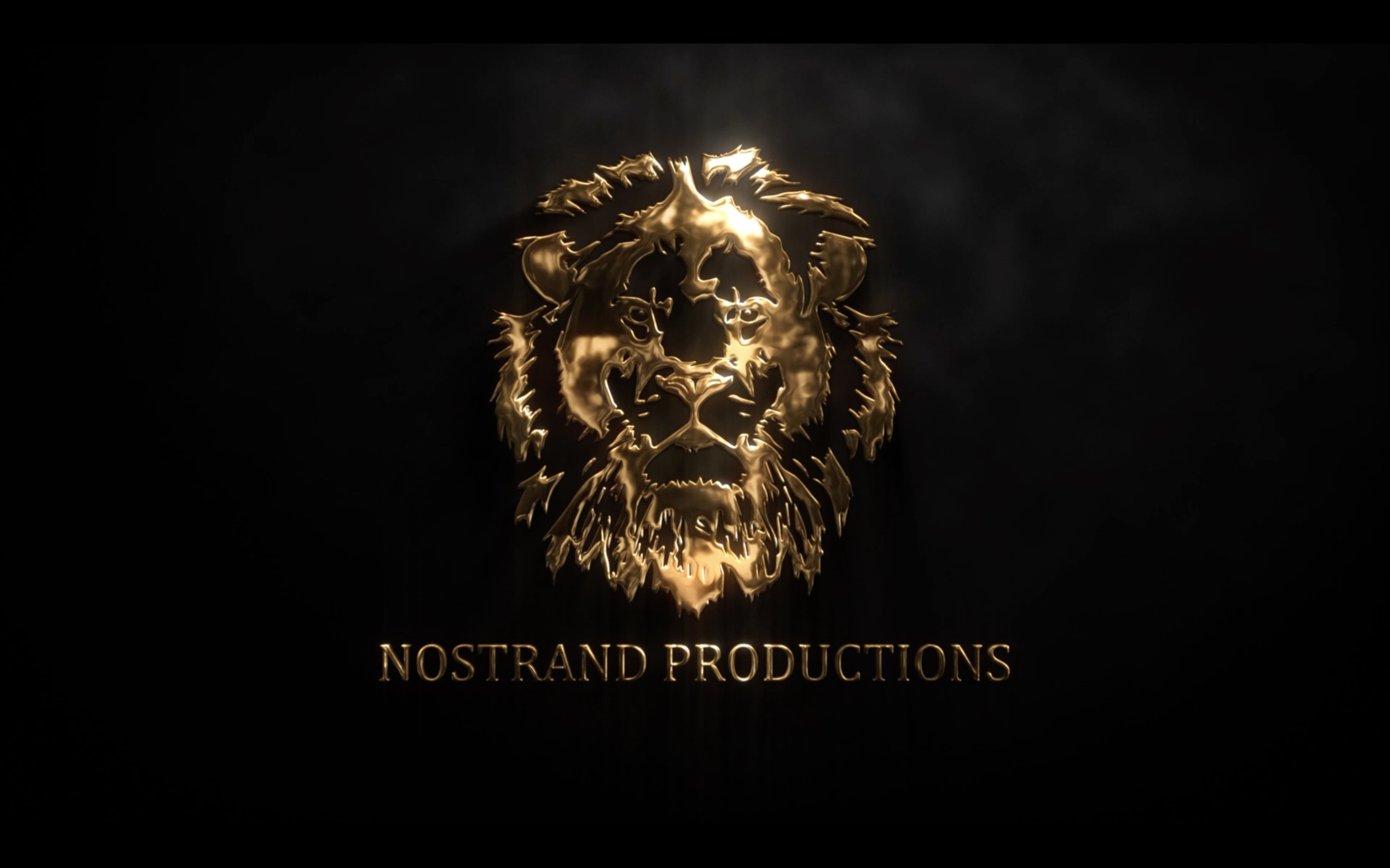 ALBANY VIDEO PRODUCTION - NOSTRAND PRODUCTIONS LLC